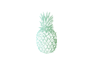 Rejoice Nutrition and Wellness - Edmonton, AB | Products