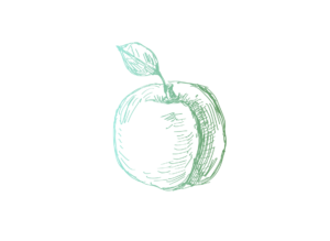 Rejoice Nutrition and Wellness - Edmonton, AB | Products