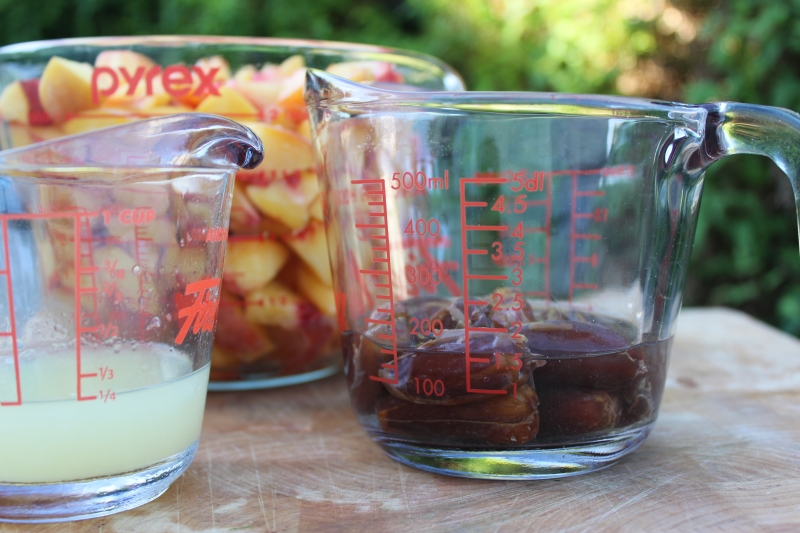 Bottom Fruit Coconut Yogurt Jars: 2 ways – Rejoice Nutrition and Wellness