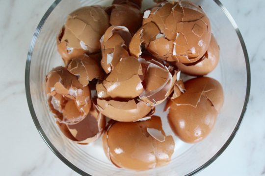 How to use Egg Shells in Organic Gardening – Rejoice Nutrition and Wellness