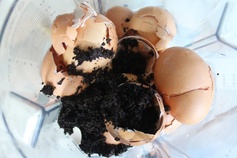 How to use Egg Shells in Organic Gardening – Rejoice Nutrition and Wellness